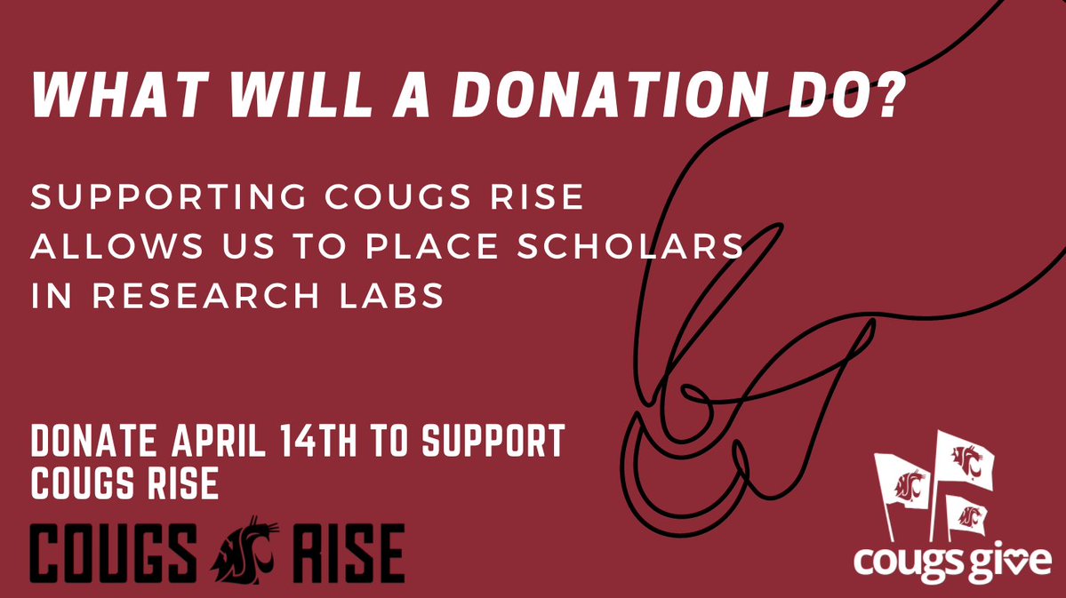 Araseli Solorio (@SolorioAraseli) | Twitter