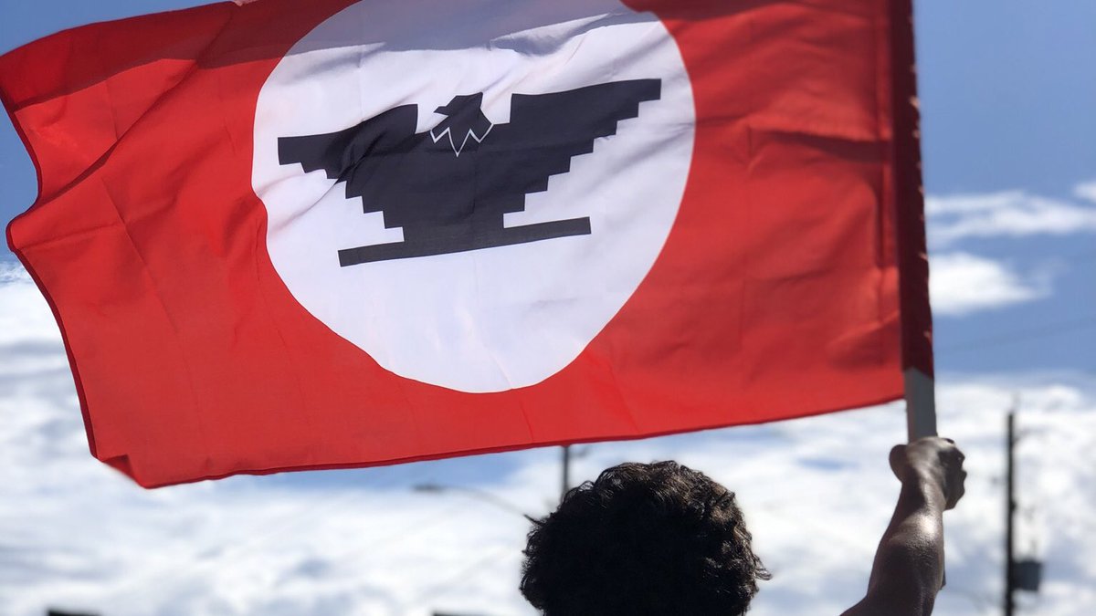 Cesar Chavez Flag Eagle