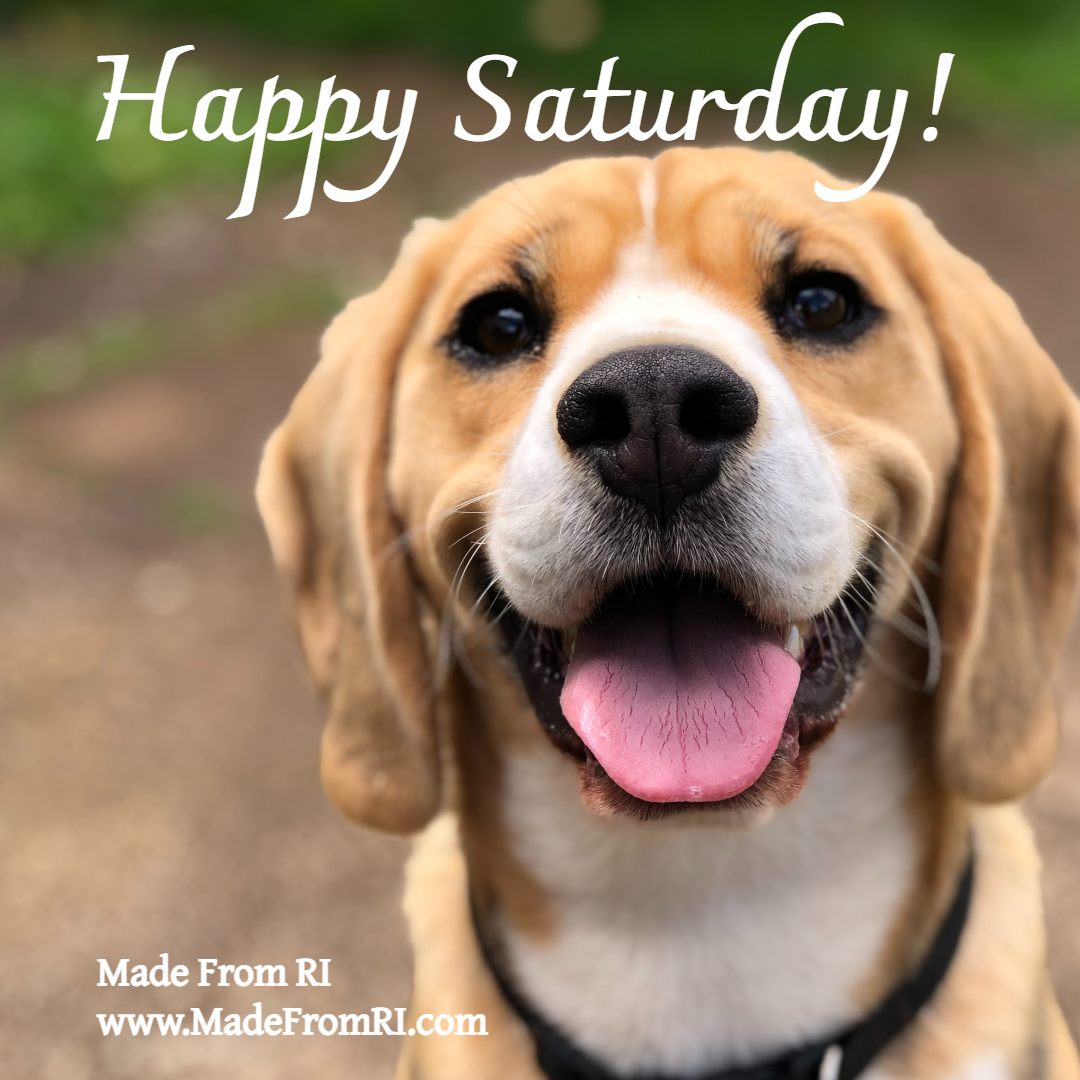 Happy Saturday Animals