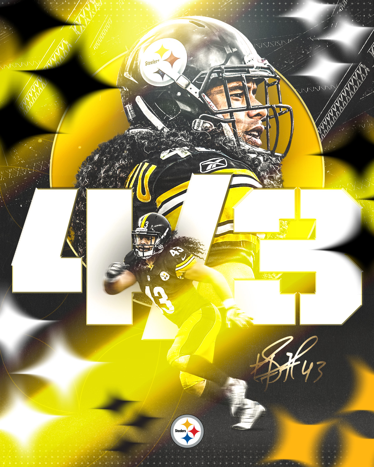 Troy Polamalu Wallpaper