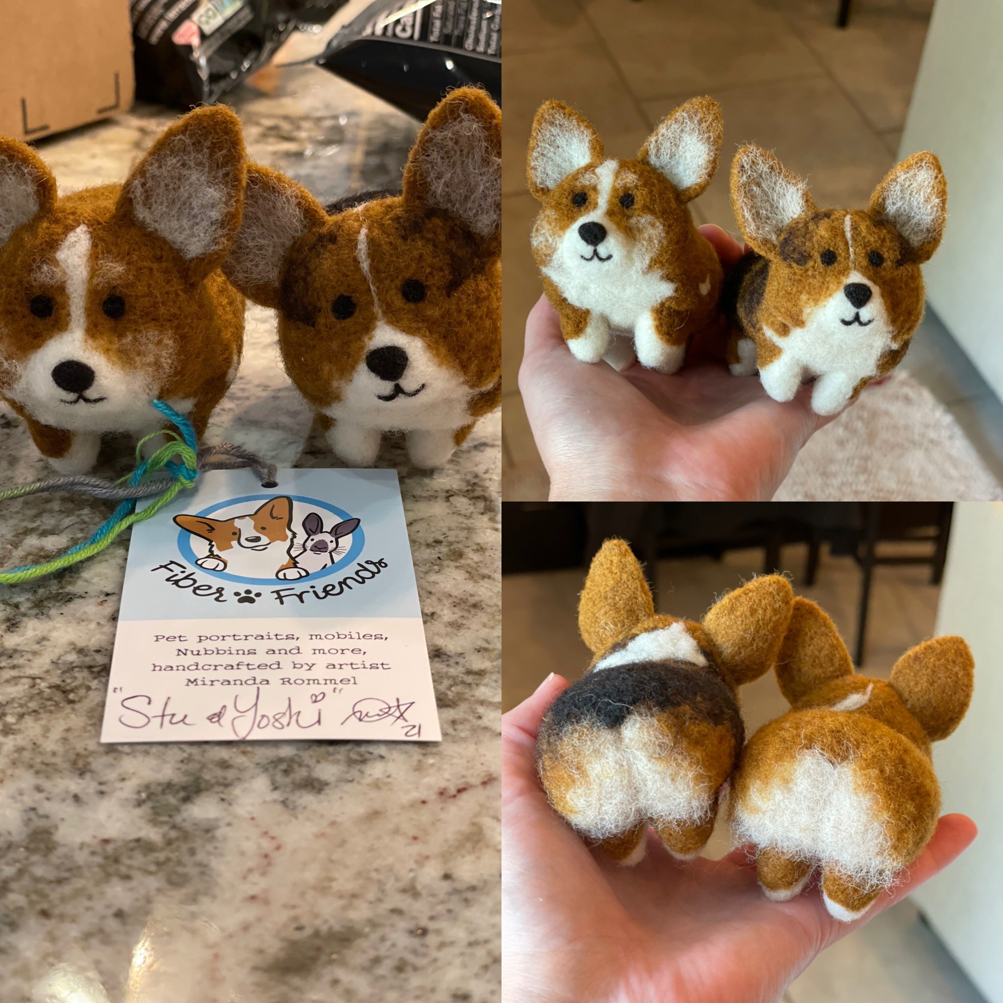 Corgi Mini Me