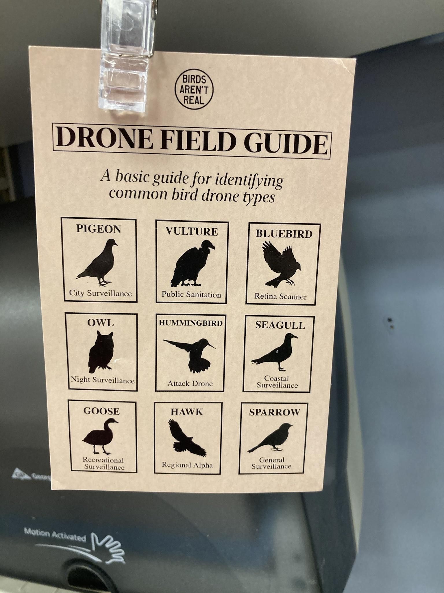 What kind of bird is this. | O-T Lounge