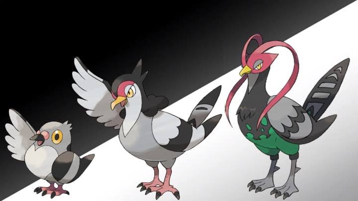 Pidove Evolution