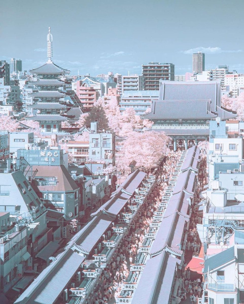 alex_kopiev (@AlexKopiev) | Twitter