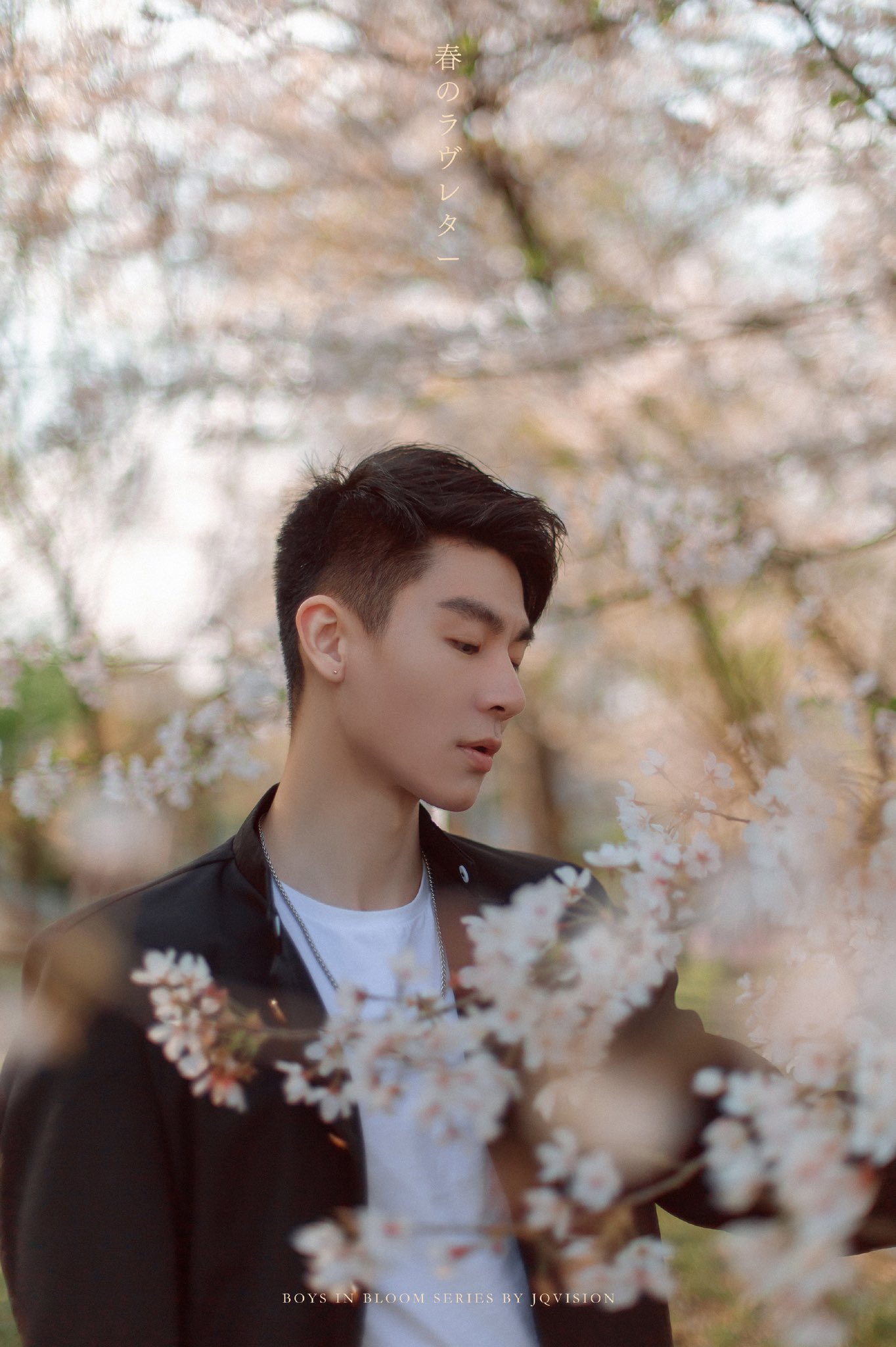 FOREST ALBUM 🏳️‍🌈🕊️🇺🇦 on Twitter: "🌸少年真好｜失踪多年又是回来了👉微博@ 泊言Klaus ｛三月与我 by ...