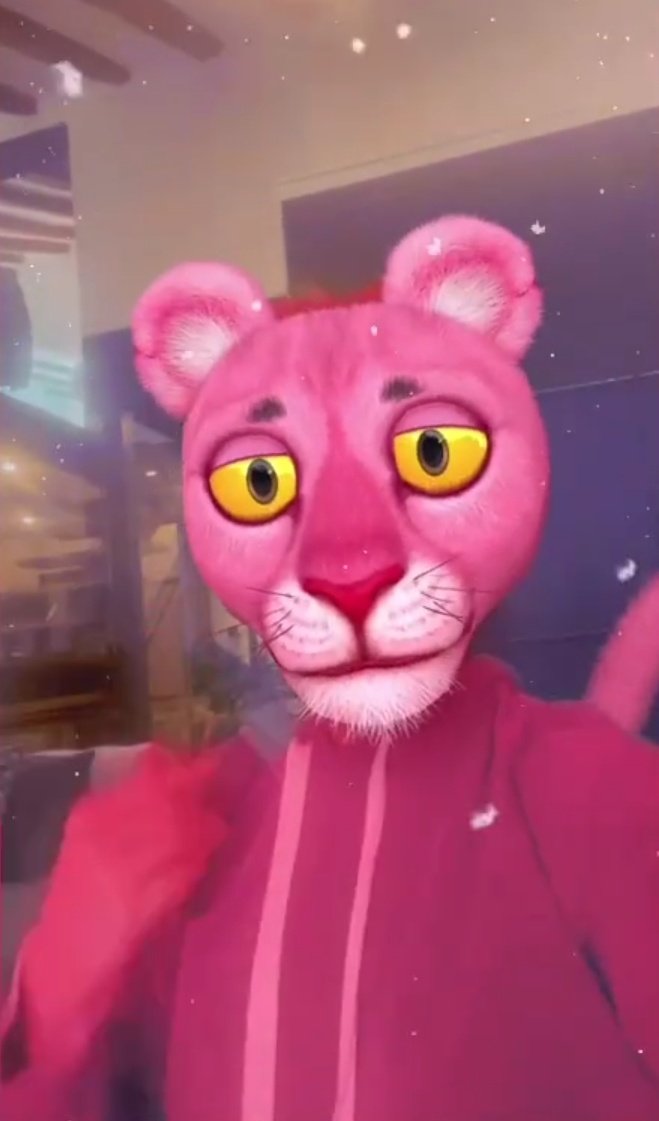 Real Pink Panther