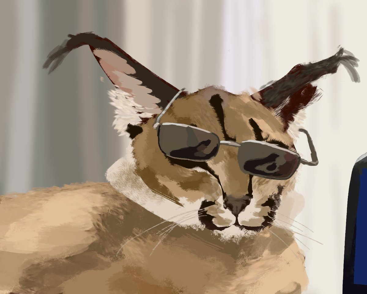 Zela on Twitter: "Server Request | floppa with da shades…