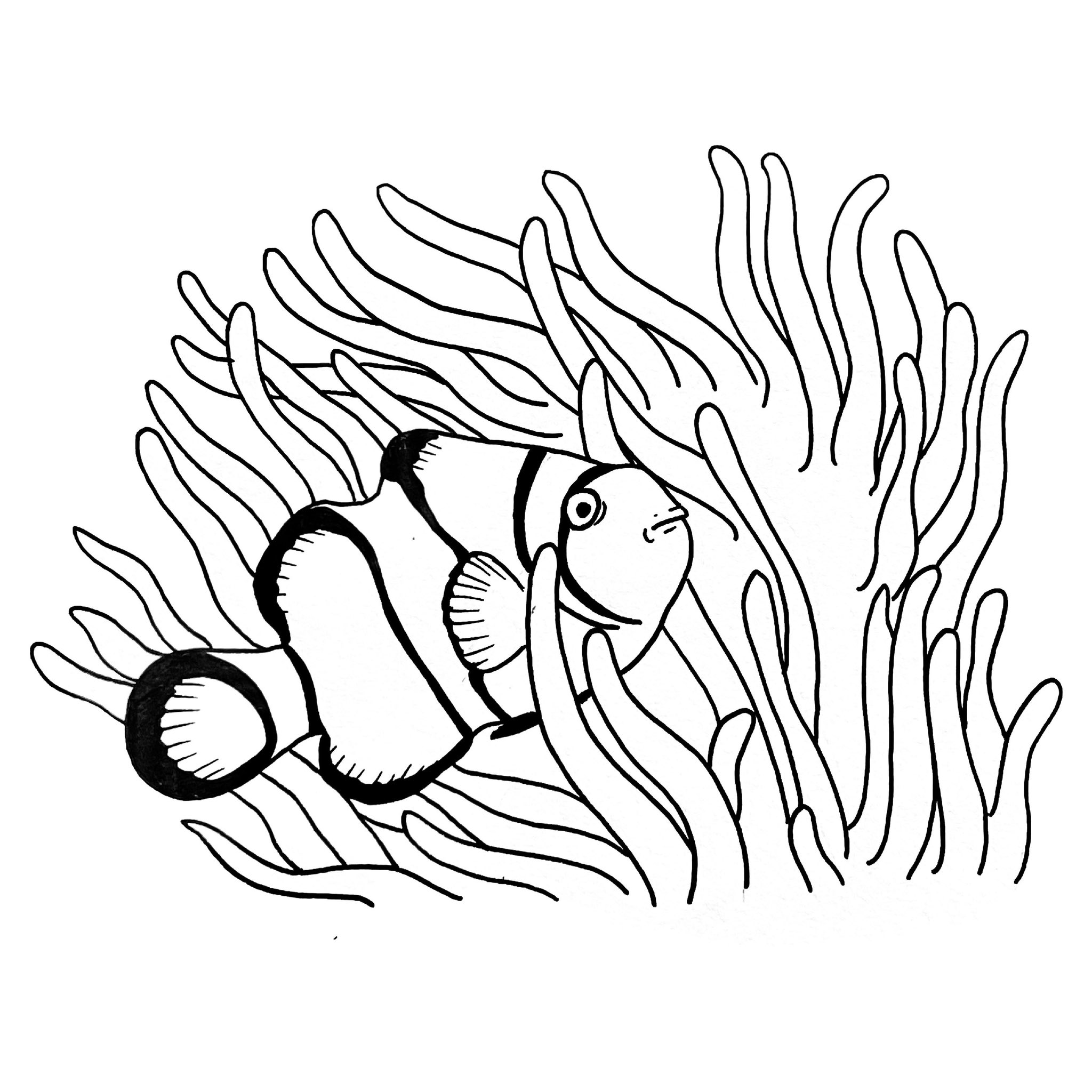 Clown Fish Clip Art Black And White