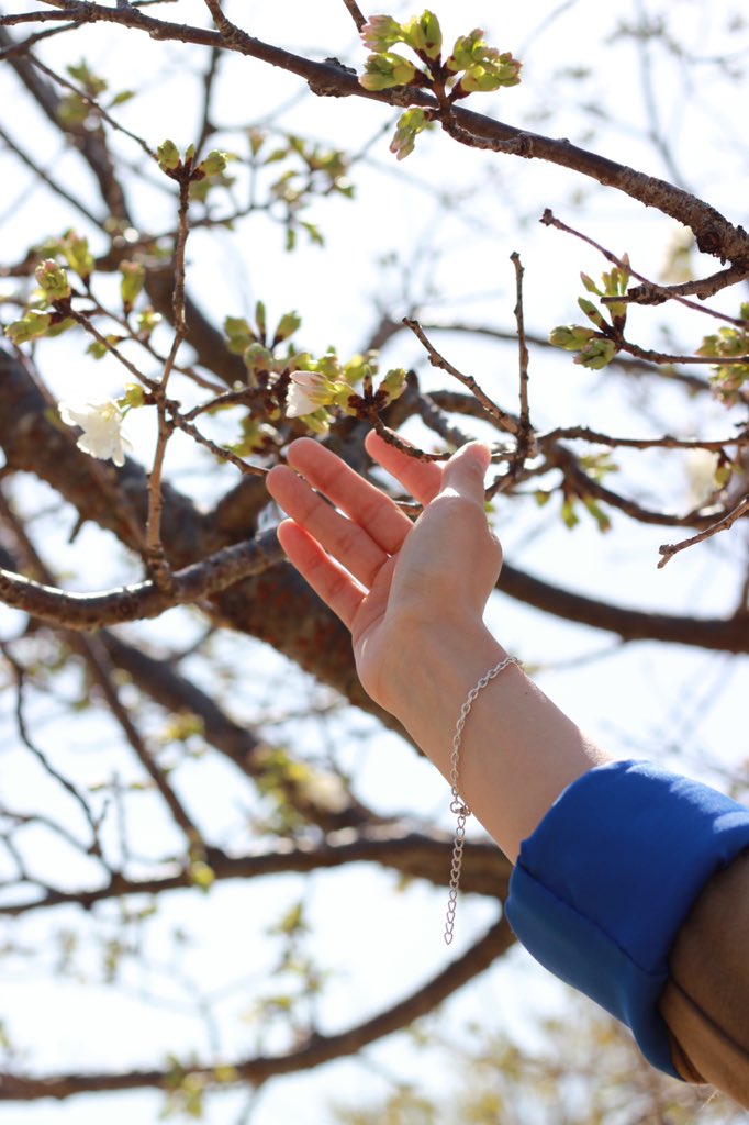 そら (@rrrxxx___) さんのコスプレ作品まとめ (15 件) - Twoucan