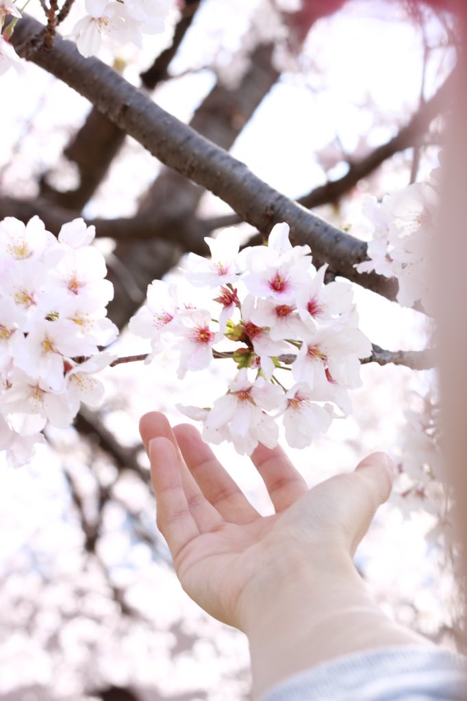 そら (@rrrxxx___) さんのコスプレ作品まとめ (15 件) - Twoucan