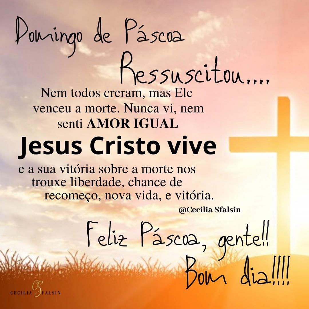 Patrick Veiga (@PatrickVeigaSC) | Twitter