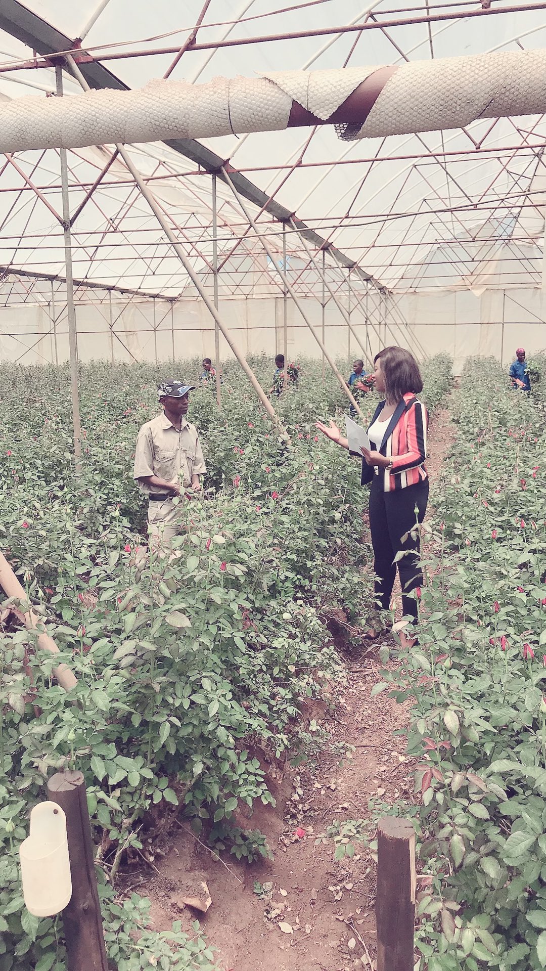 Capital Intensive Agriculture