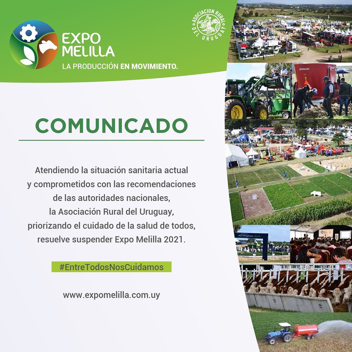 Grisel Moizo (@GriselMoizo) | Twitter