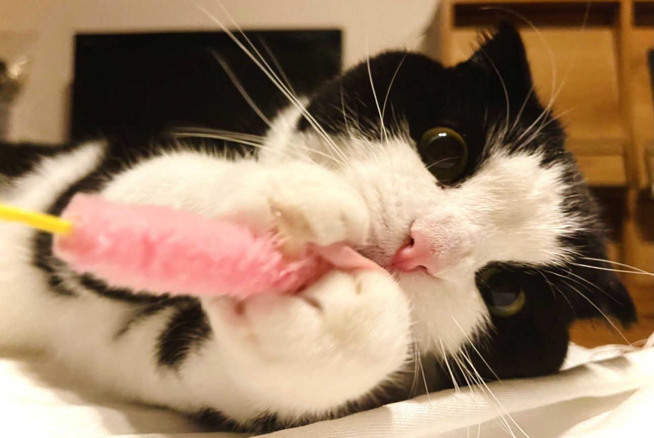 AirsXG (@xg_airs) / Twitter