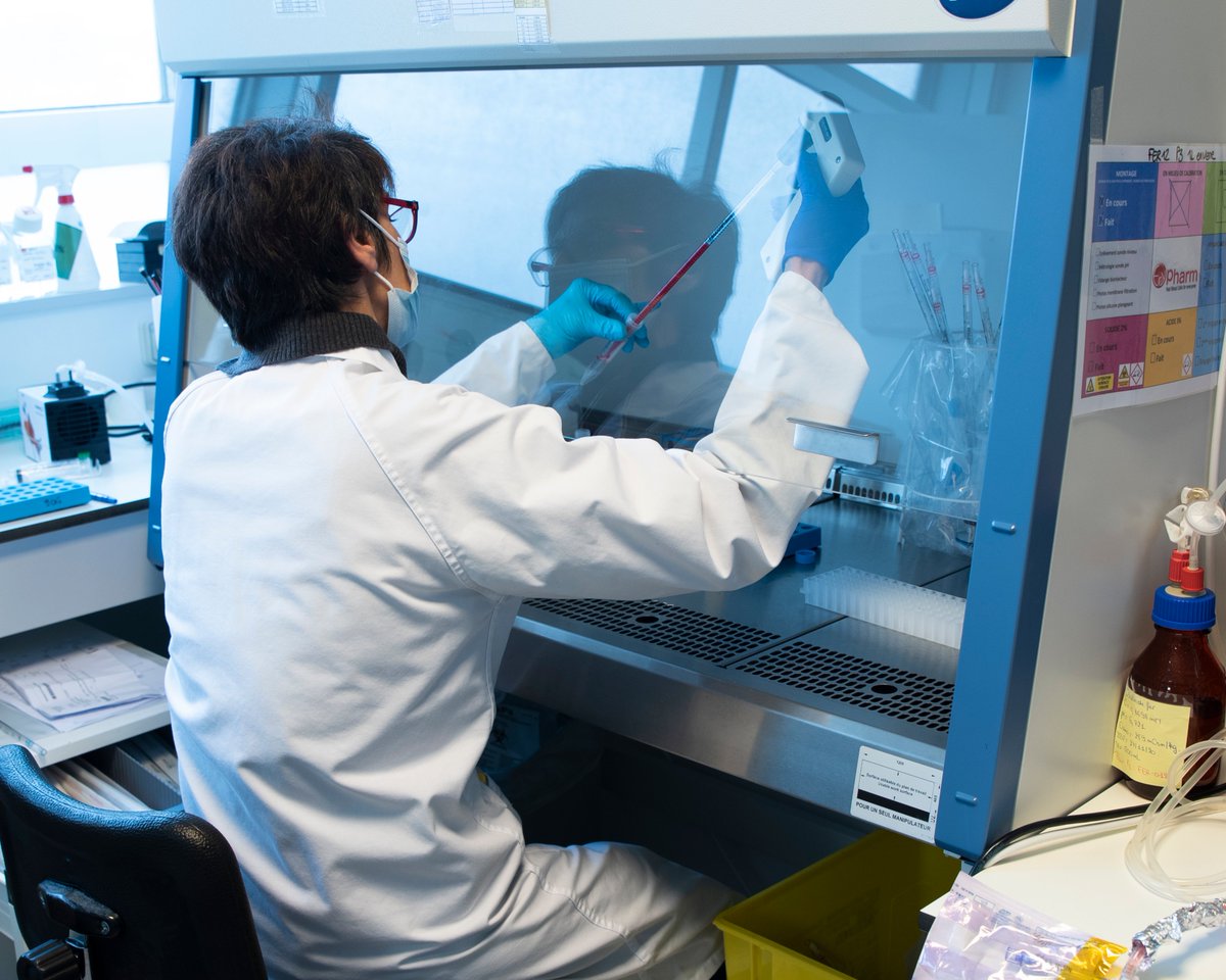 EryPharm (@EryPharm) | Twitter