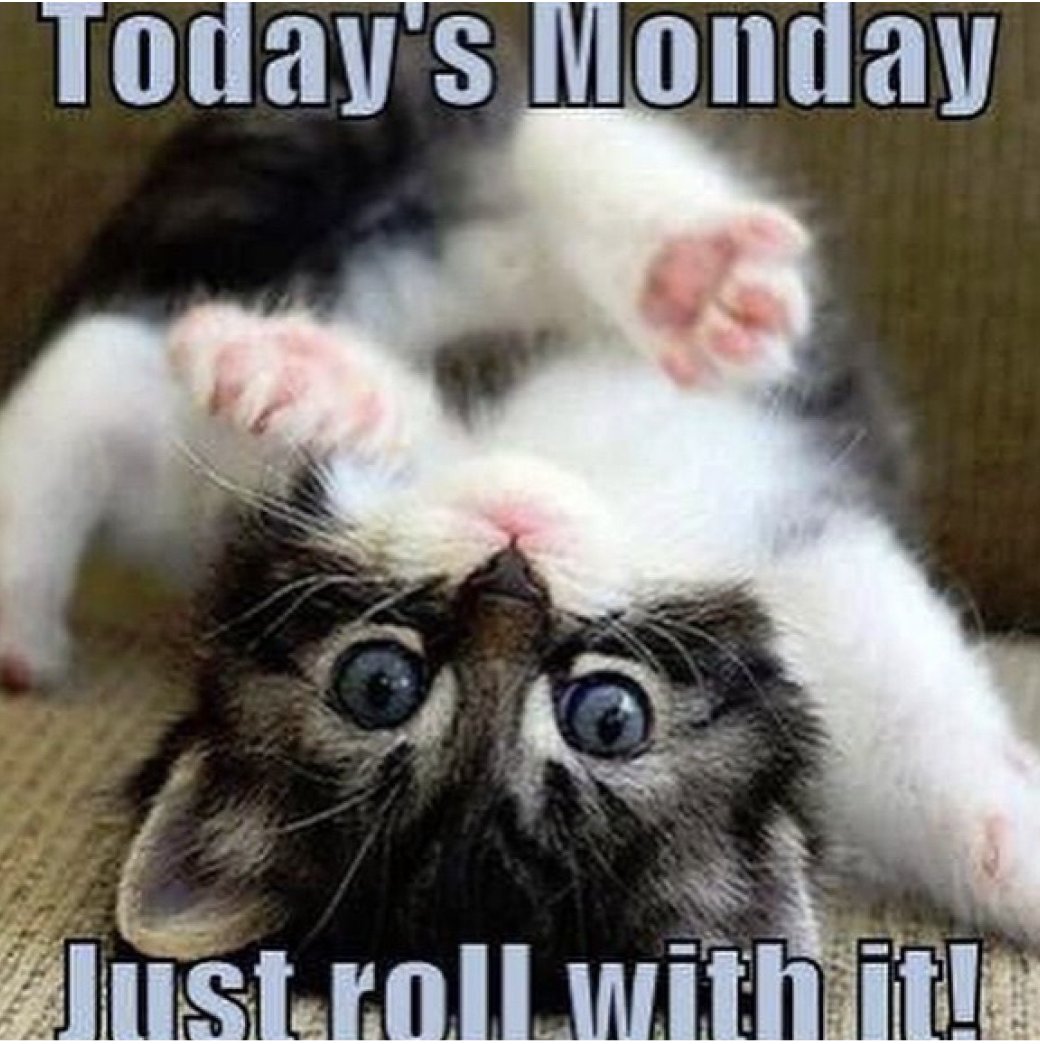 Have A Good Week Cat