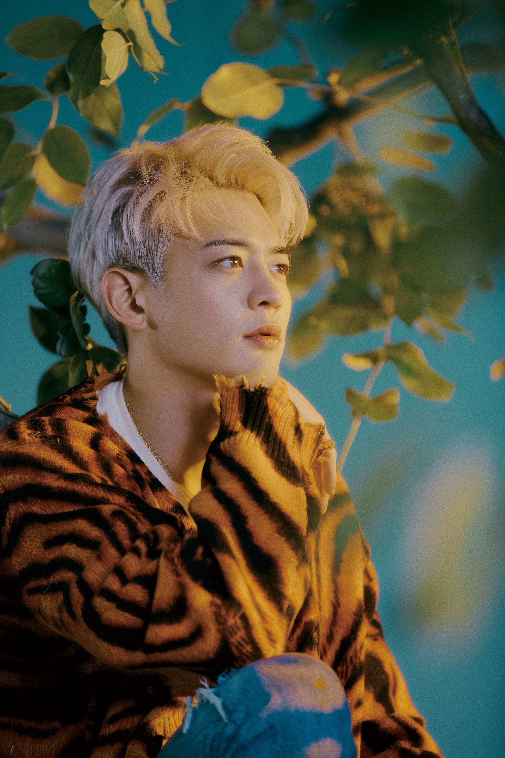 SHINee Members Profile (Updated!) SHINee Members Profile (Updated!)