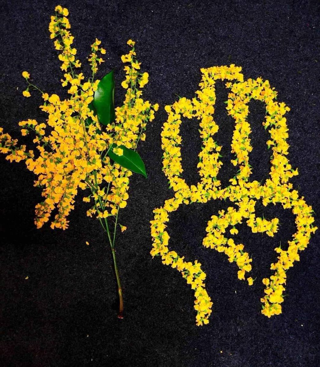 Phyu Sin Thant (@_Phyu_Sin_Thant) | Twitter