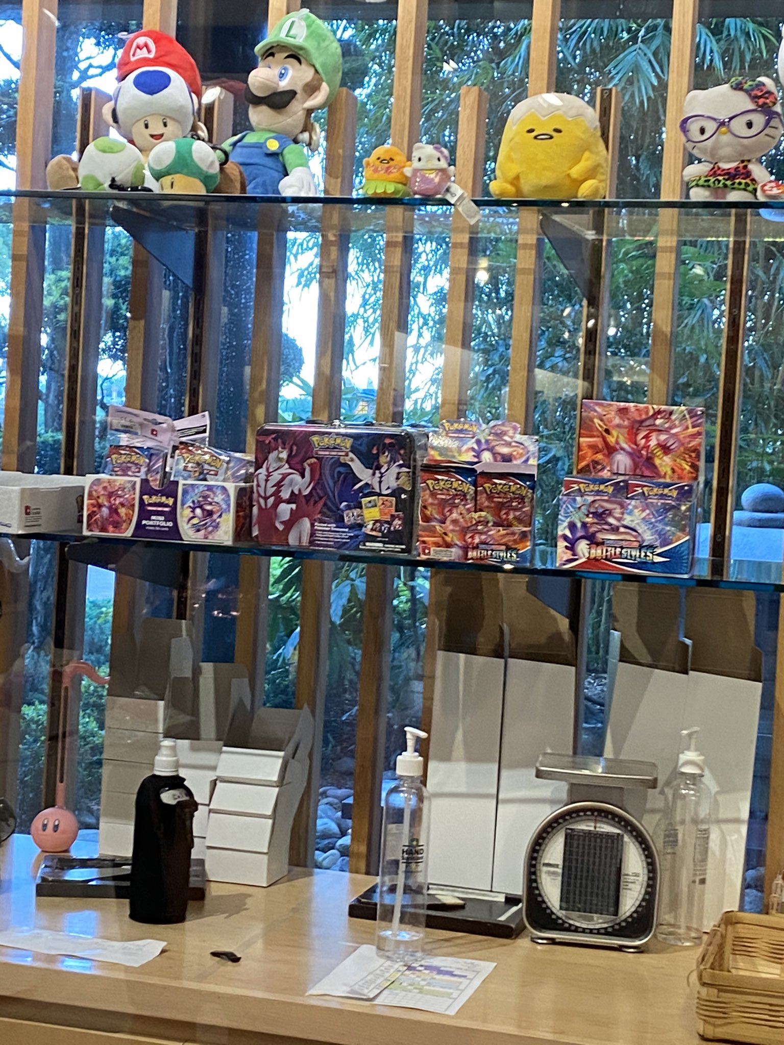 Pokemon Disney World