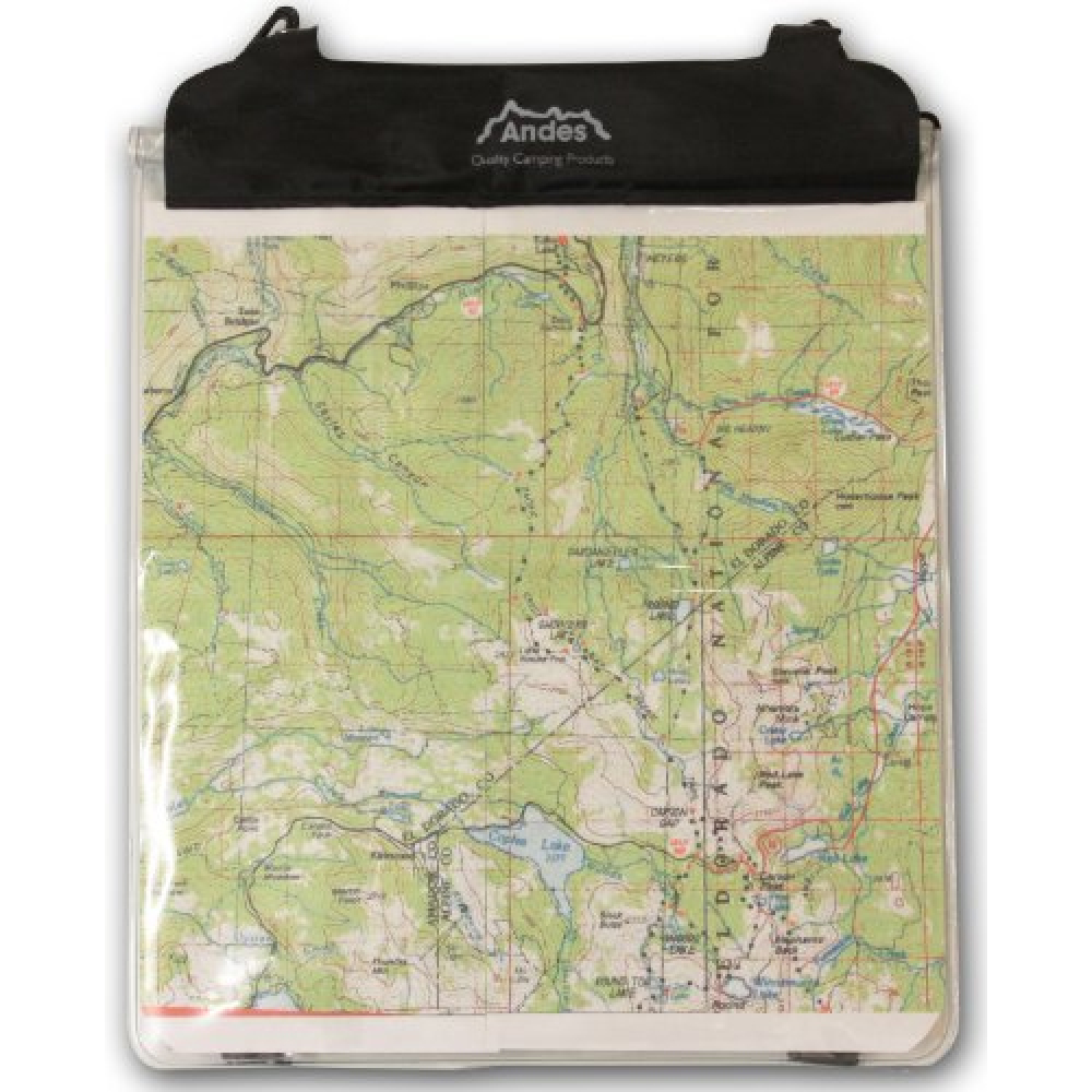 Cases maps