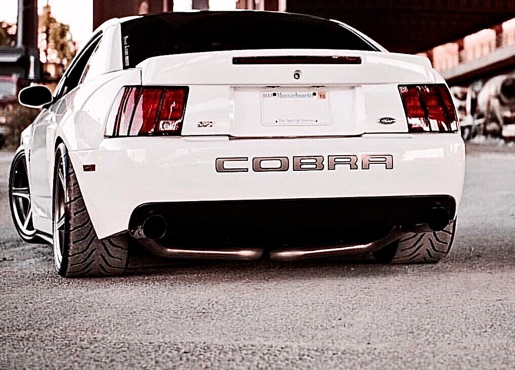 Steeda Mustang Rear Bumper Insert Decal Black (2001 Cobra),, 57% OFF