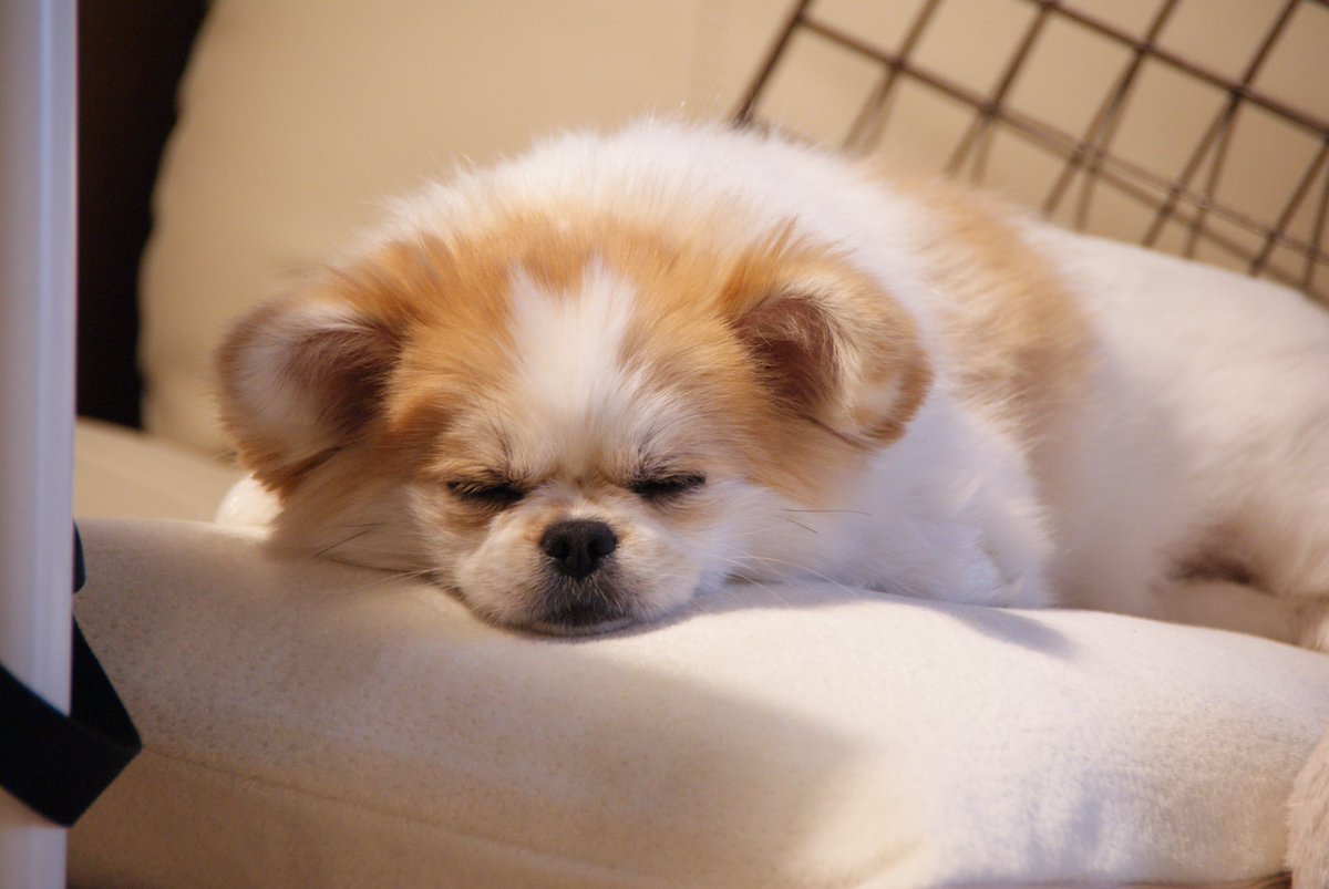 noco (@noco_create) | Twitter