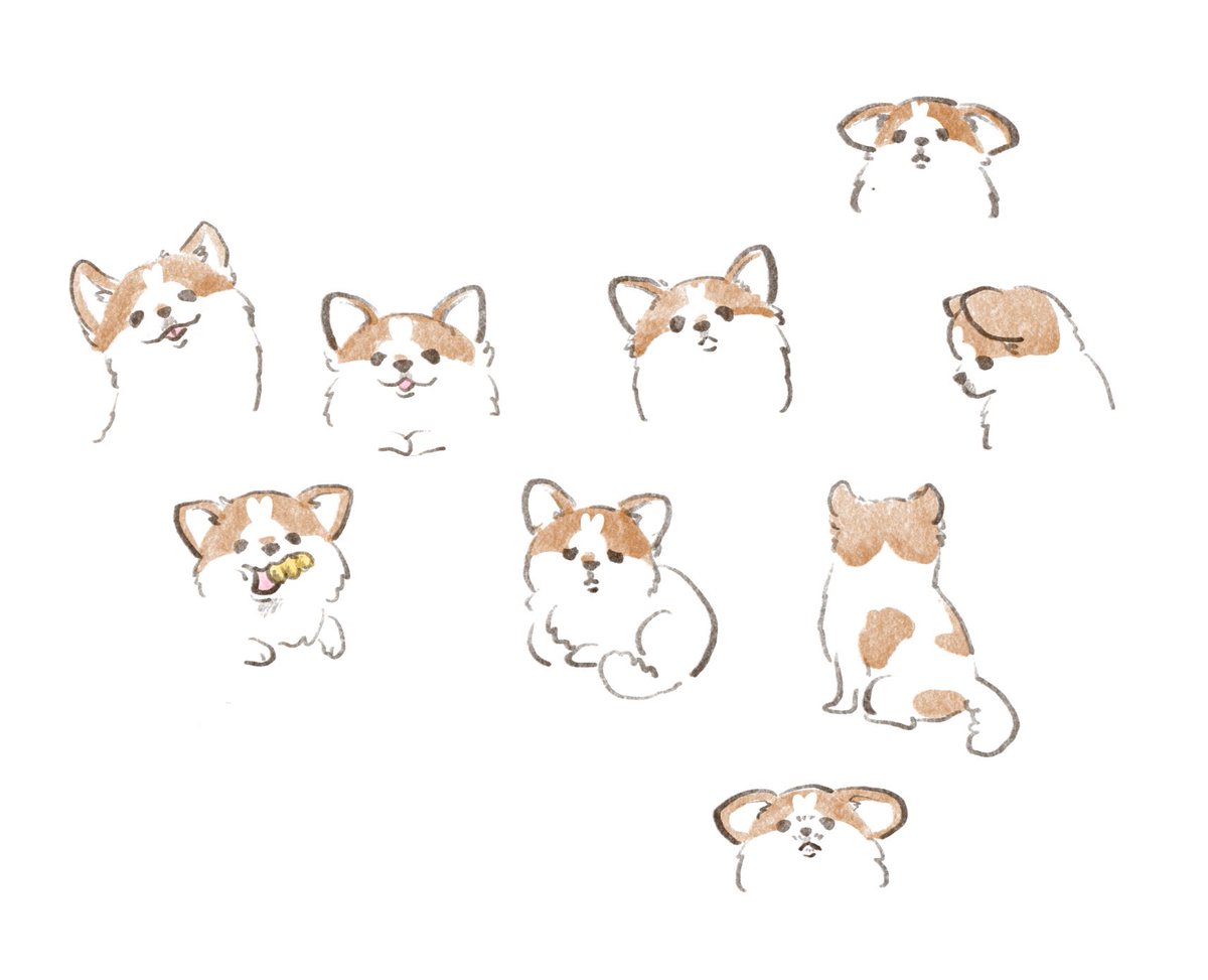 noco (@noco_create) | Twitter