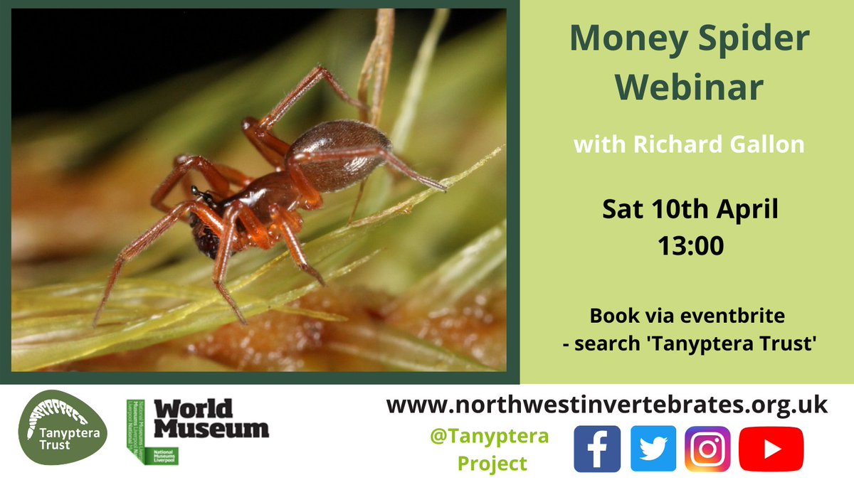 national-rare-species ~ North West Invertebrates