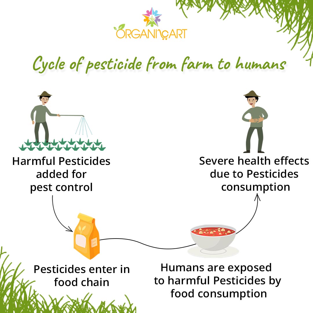 Pesticides In Food Side Effects