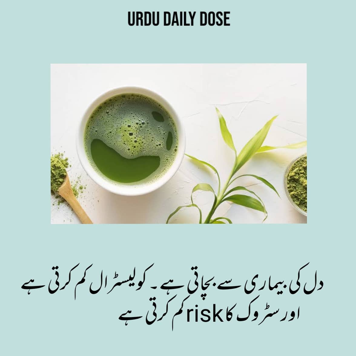Green Tea Benefits In Urdu