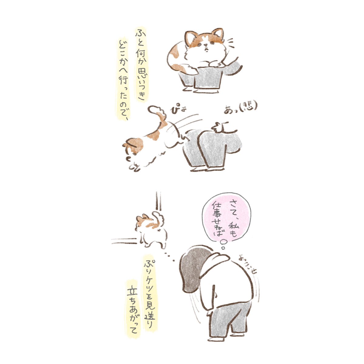 noco (@noco_create) | Twitter