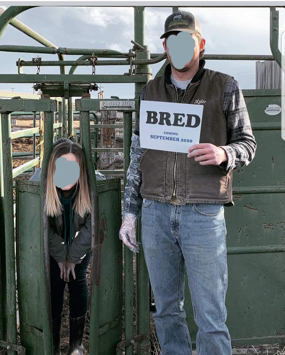 Worst Pregnancy Announcements