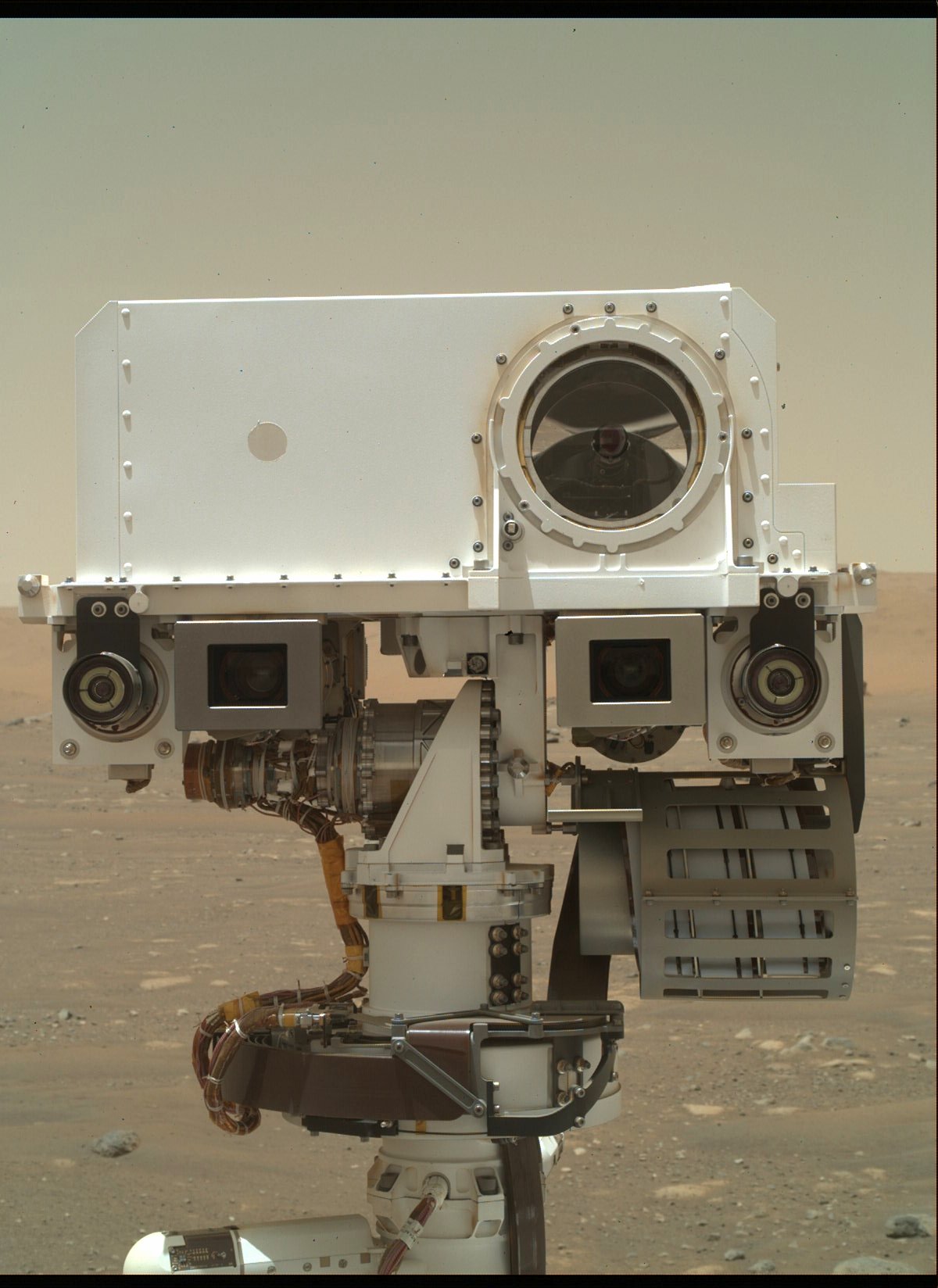 Mars Rover Curiosity Potrait