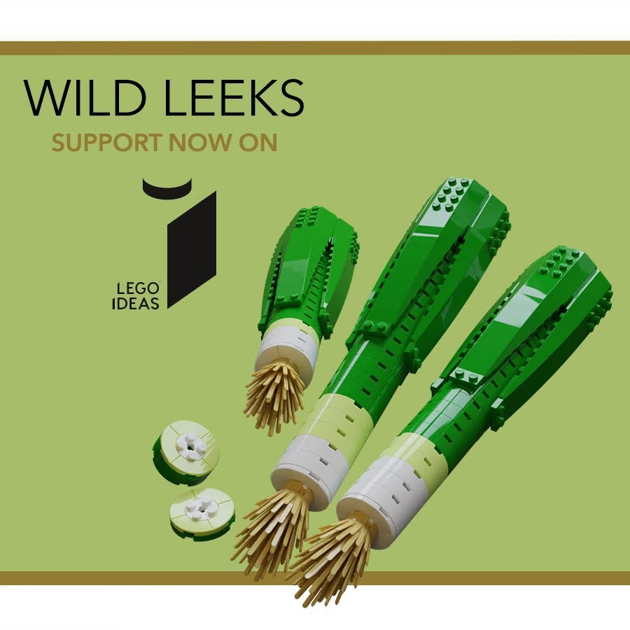 Build A Little Love Valentine's Day LEGO Gift Ideas | BricksFanz