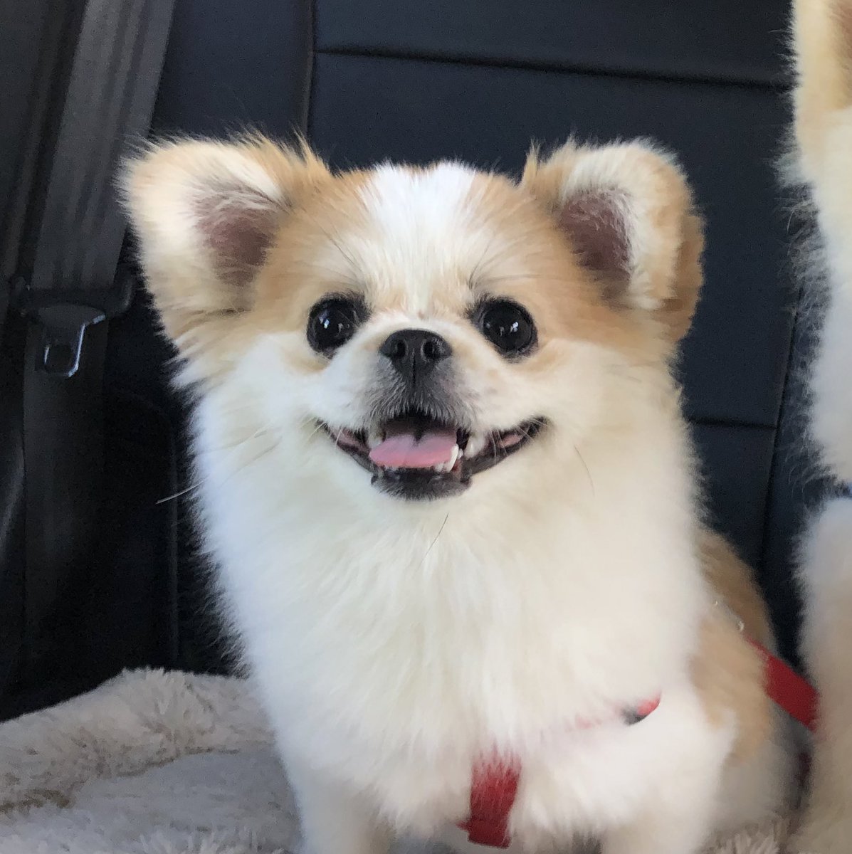 noco (@noco_create) | Twitter