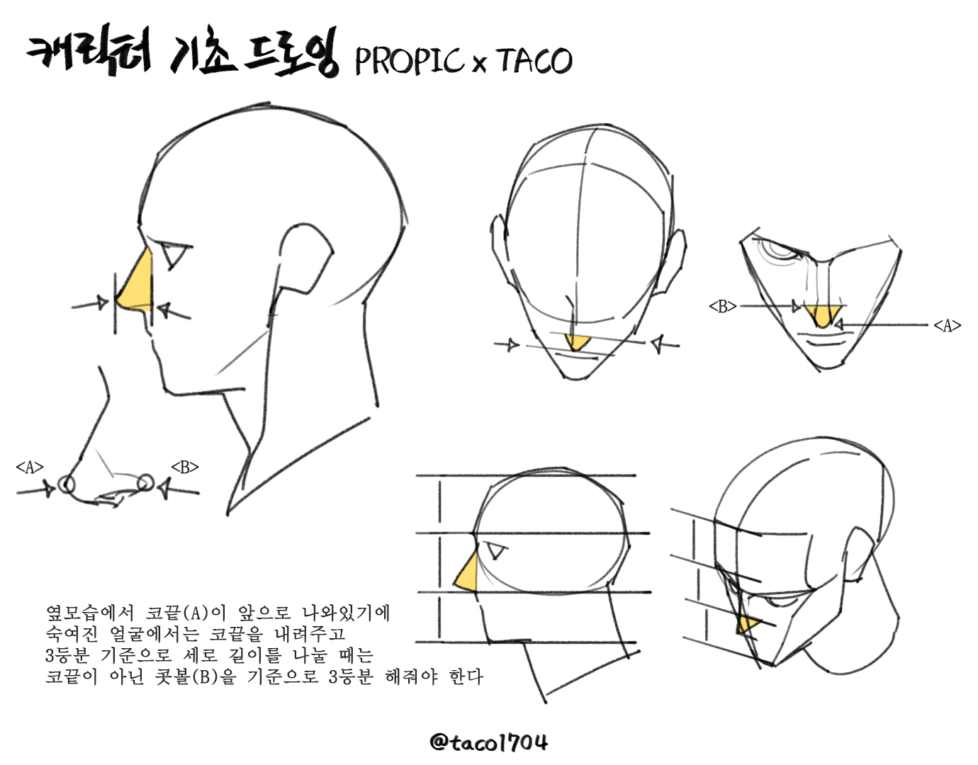 타코작가 On Twitter 숙여진 얼굴 혹은 하이 앵글에서 3등분 세로 기준을 잡을 때 코끝이 아닌 콧볼 기준으로 해줘야 한다