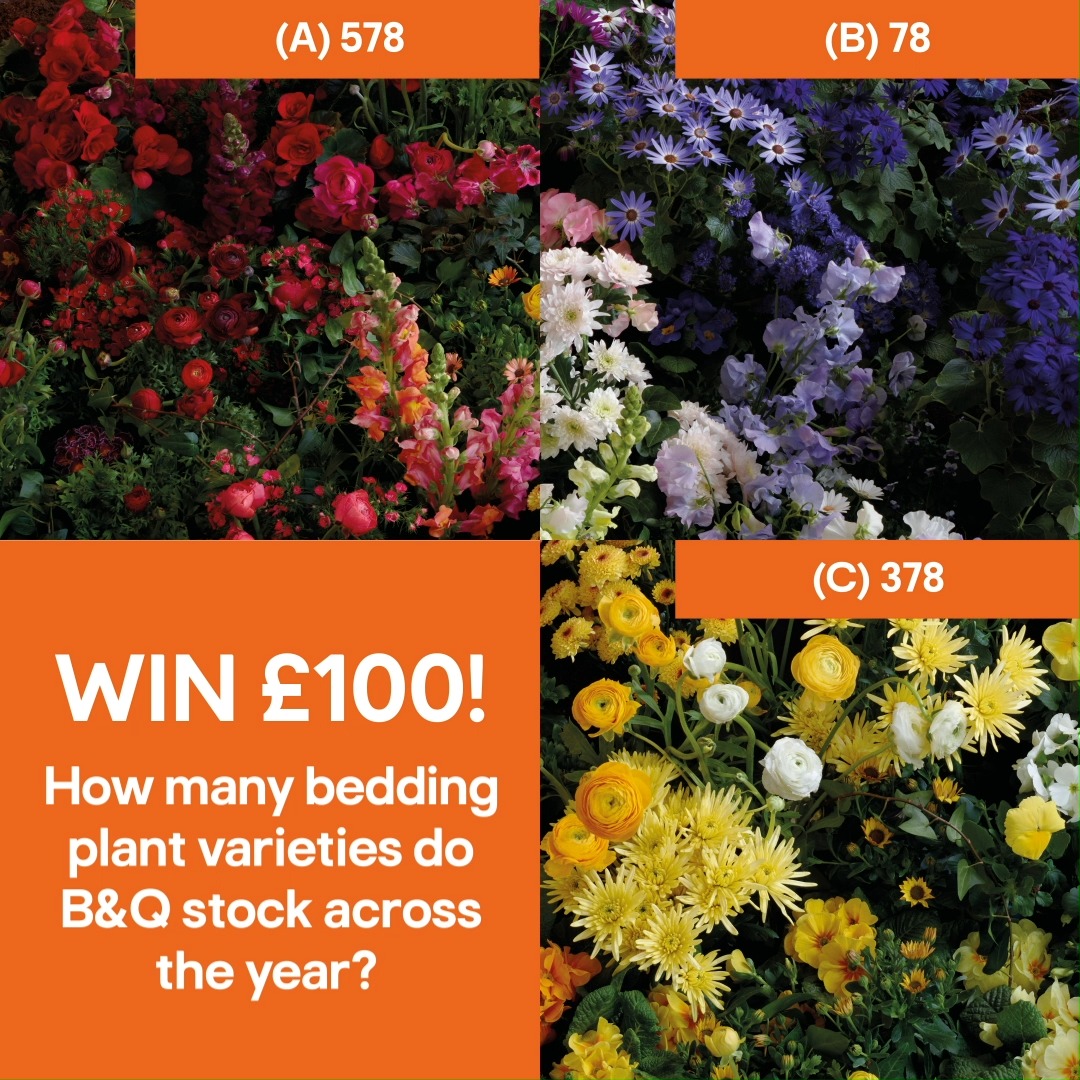 The XK-BAM Map Series Page 12, 44% OFF | brunofuga.adv.br