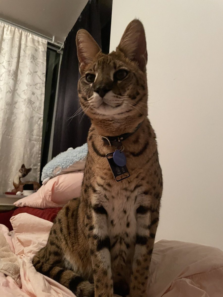 Naomi Elizabot (@NElizabot) | Twitter