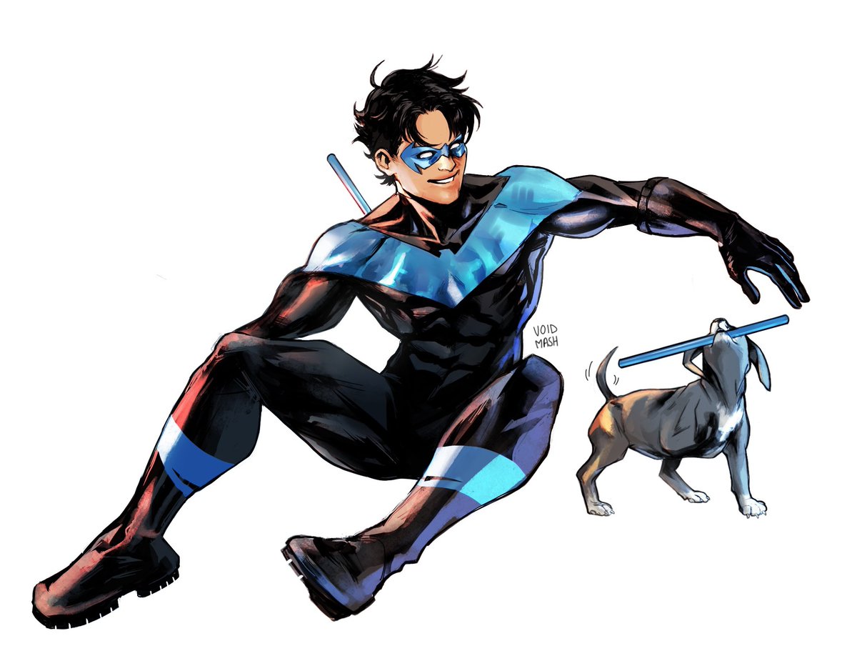 Nightwing and Bitewing by Void Mash : r/Nightwing