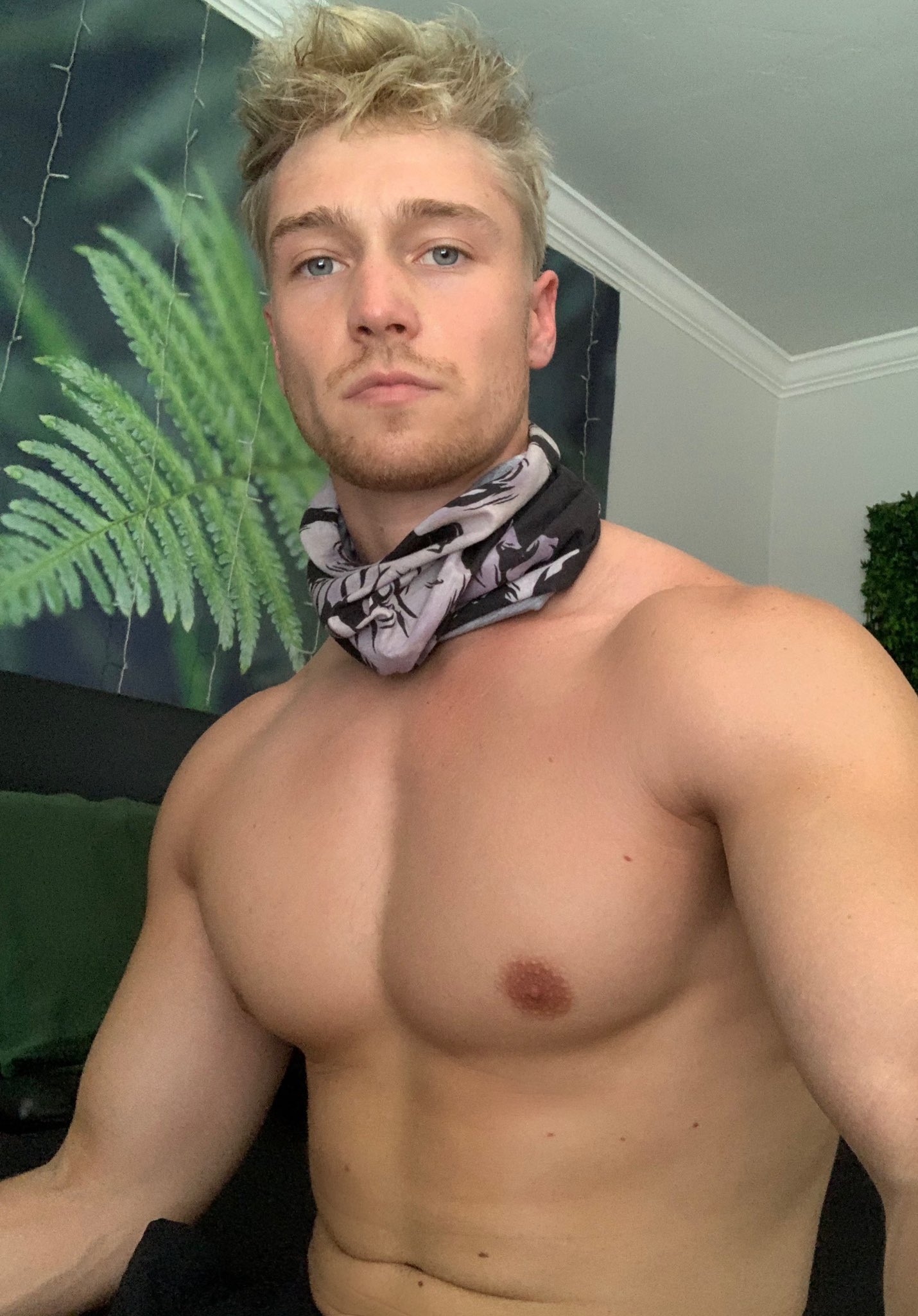 Owen DeValk on Twitter: "🌿🌿 https://t.co/sWmoTlkqqm" / Twitter