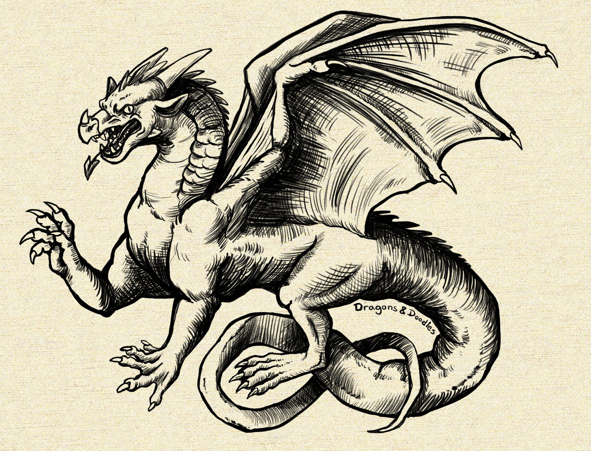 Medieval Art Dragon
