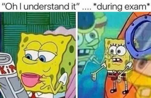 Spongebob Exam Memes Me Walking Into Exam Sponge Bob Meme | TikTok