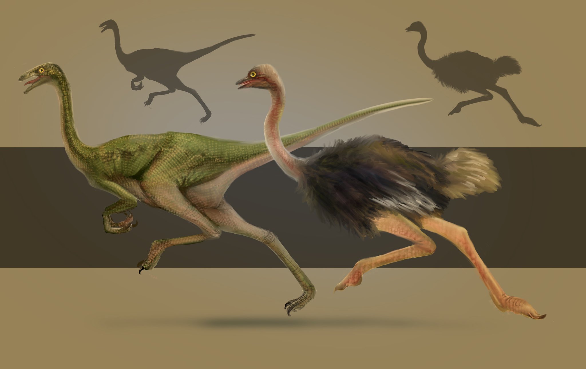 Gallimimus Size
