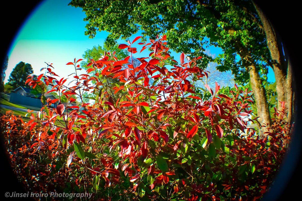 Jinsei Iroiro Photography (@JinseiIroiroPh1) | Twitter