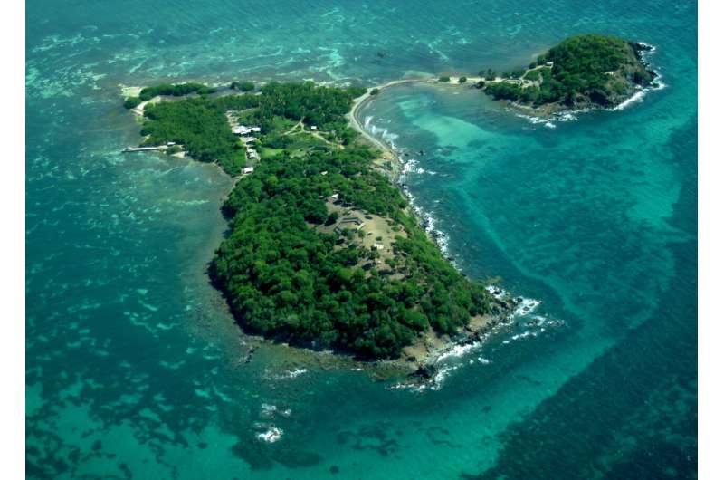 Thread by @BoixRichter on Thread Reader App – Thread Reader App