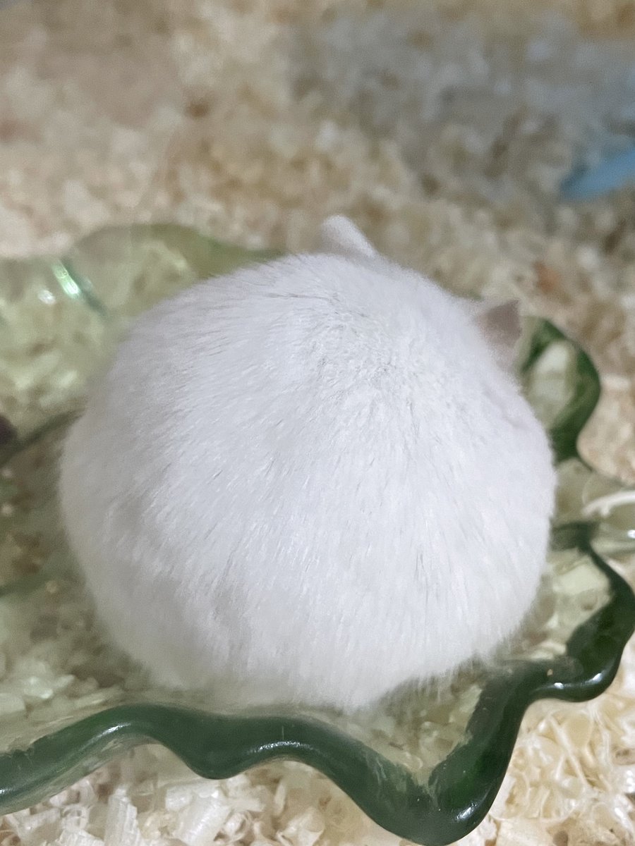 행복하고싶어 (@rendejavous) | Twitter