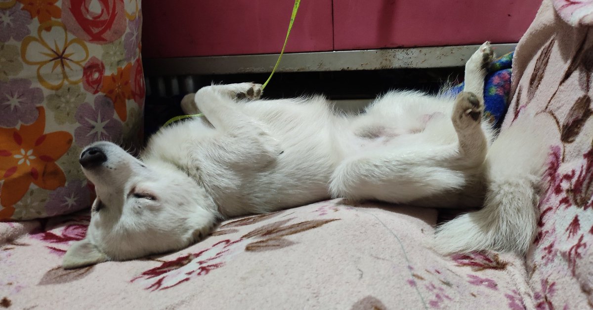 Geetsena (@geetsena) | Twitter