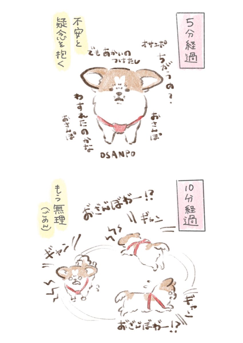 noco (@noco_create) | Twitter