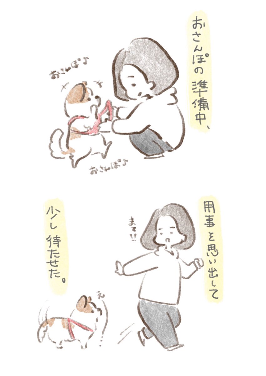 noco (@noco_create) | Twitter