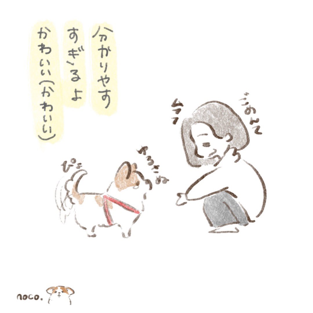 noco (@noco_create) | Twitter